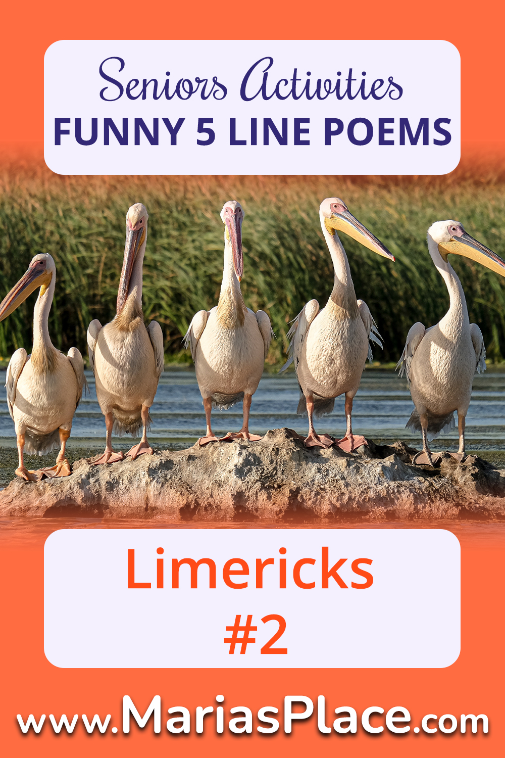 limerick - Marias Place