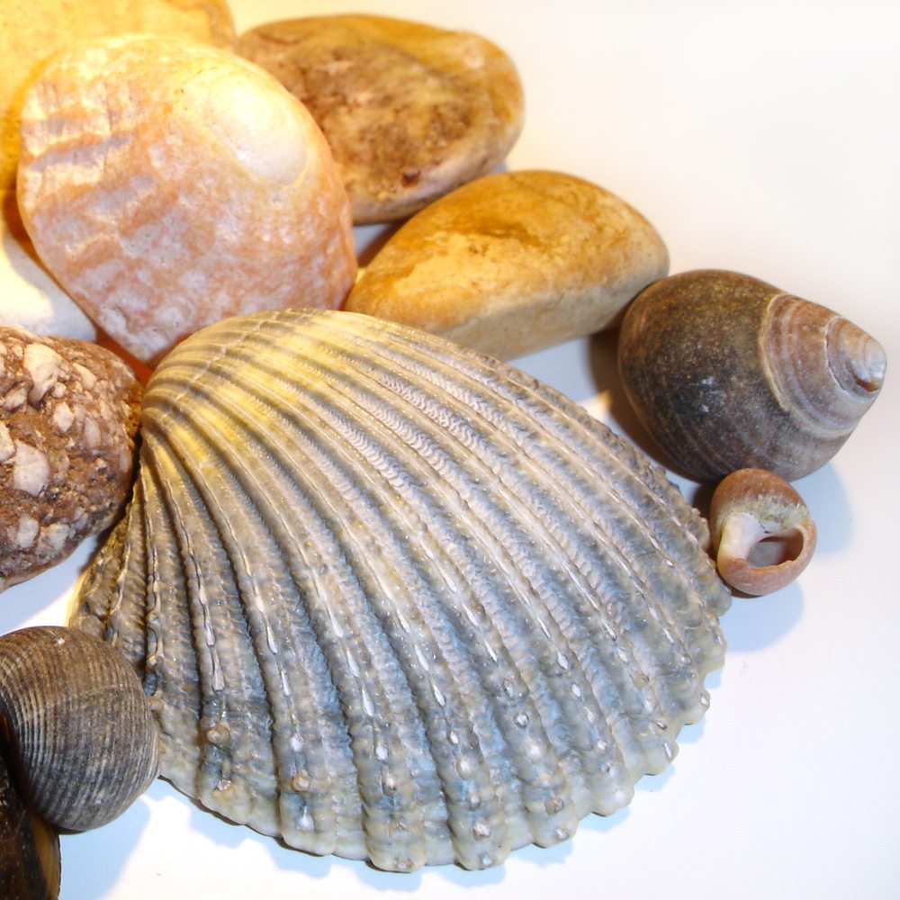 In Our Writers Group Today we Wrote a Sea-side Poem - Marias Place