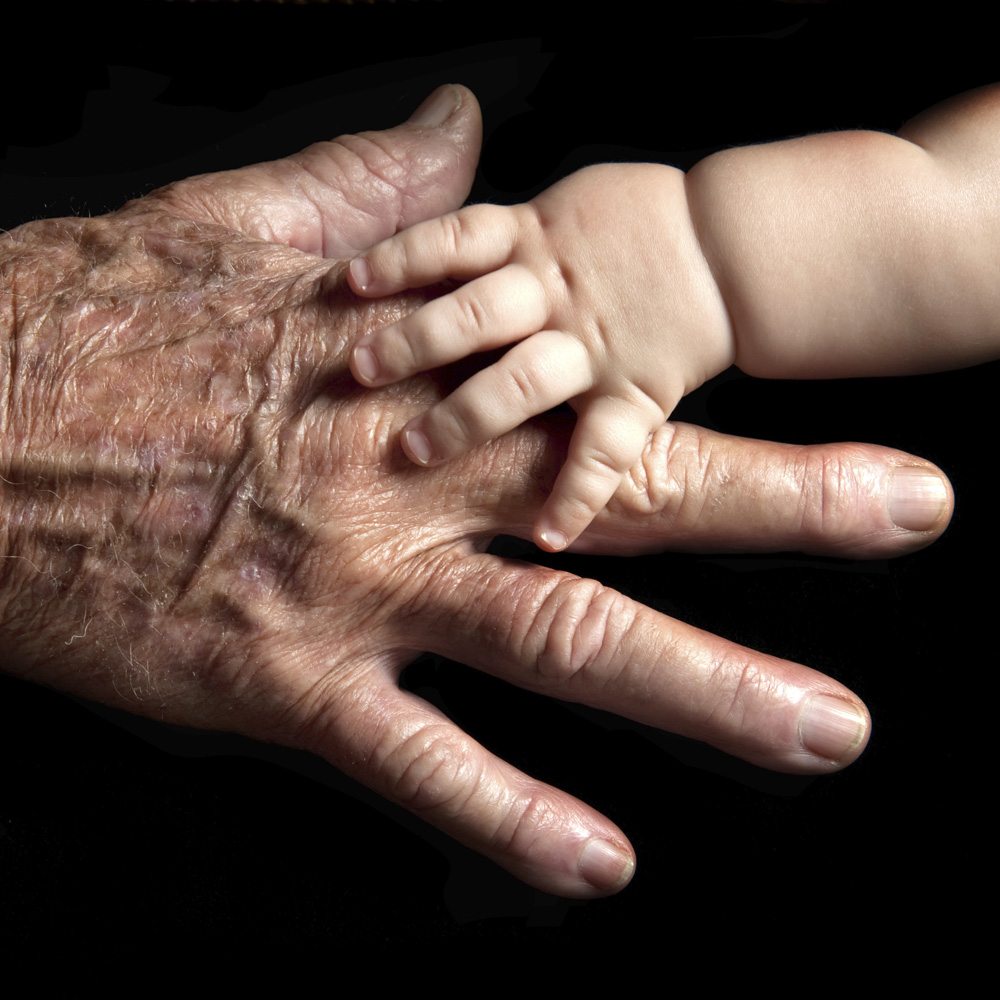 theory of retrogenesis - Marias Place