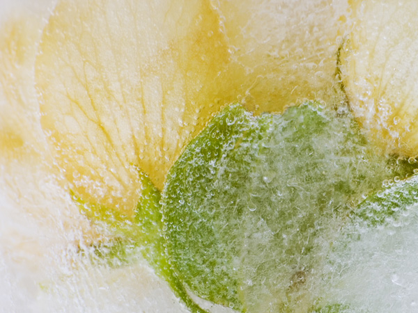 Short Story Memory Exercise - Marias Place