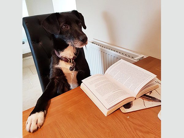 Reading, thumbnail - Marias Place