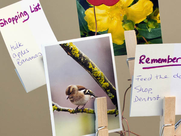 Message Tree Craft - Marias Place