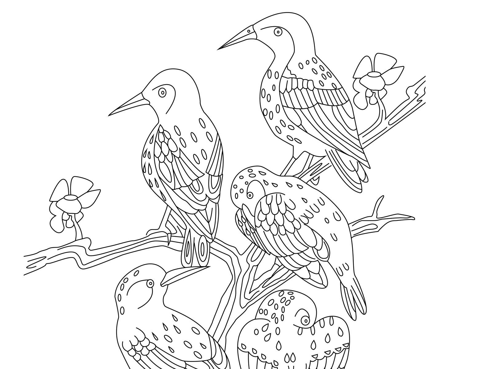 Spot the Differences, Five Birds - Marias Place