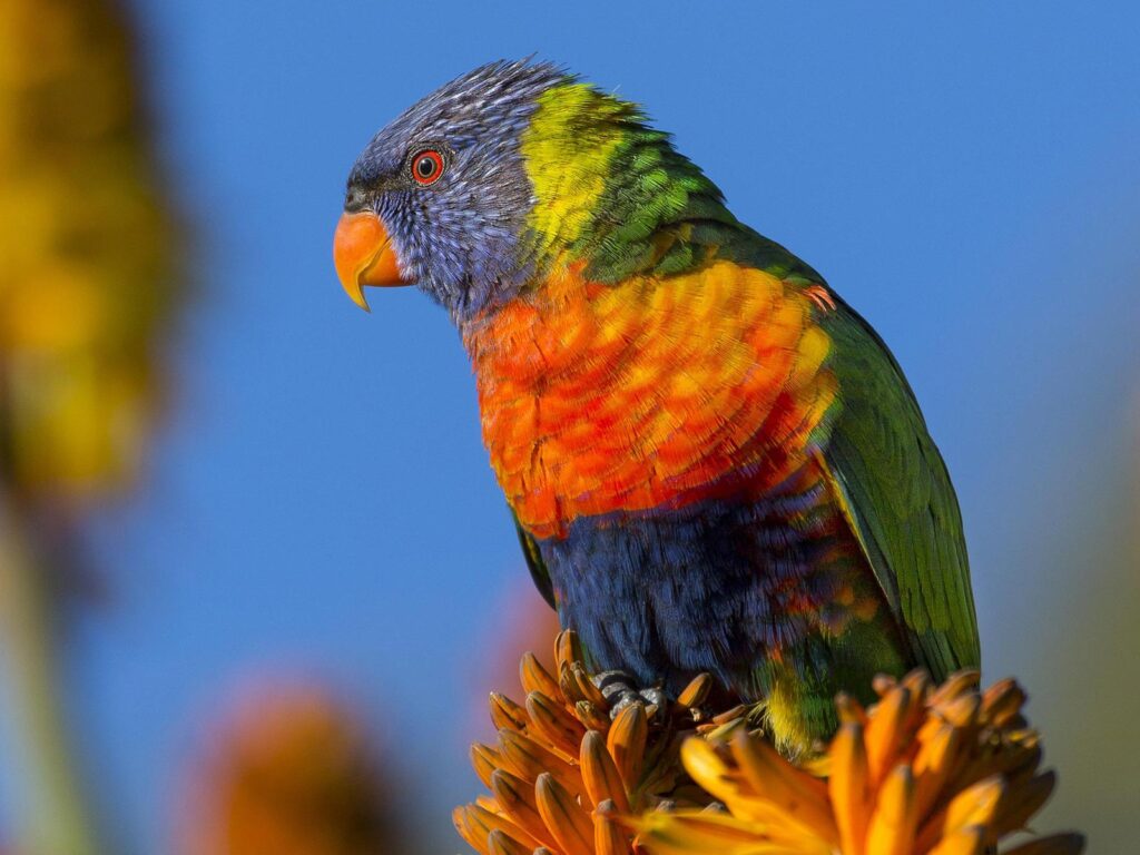 Short story memory game activities #2 - Marias Place