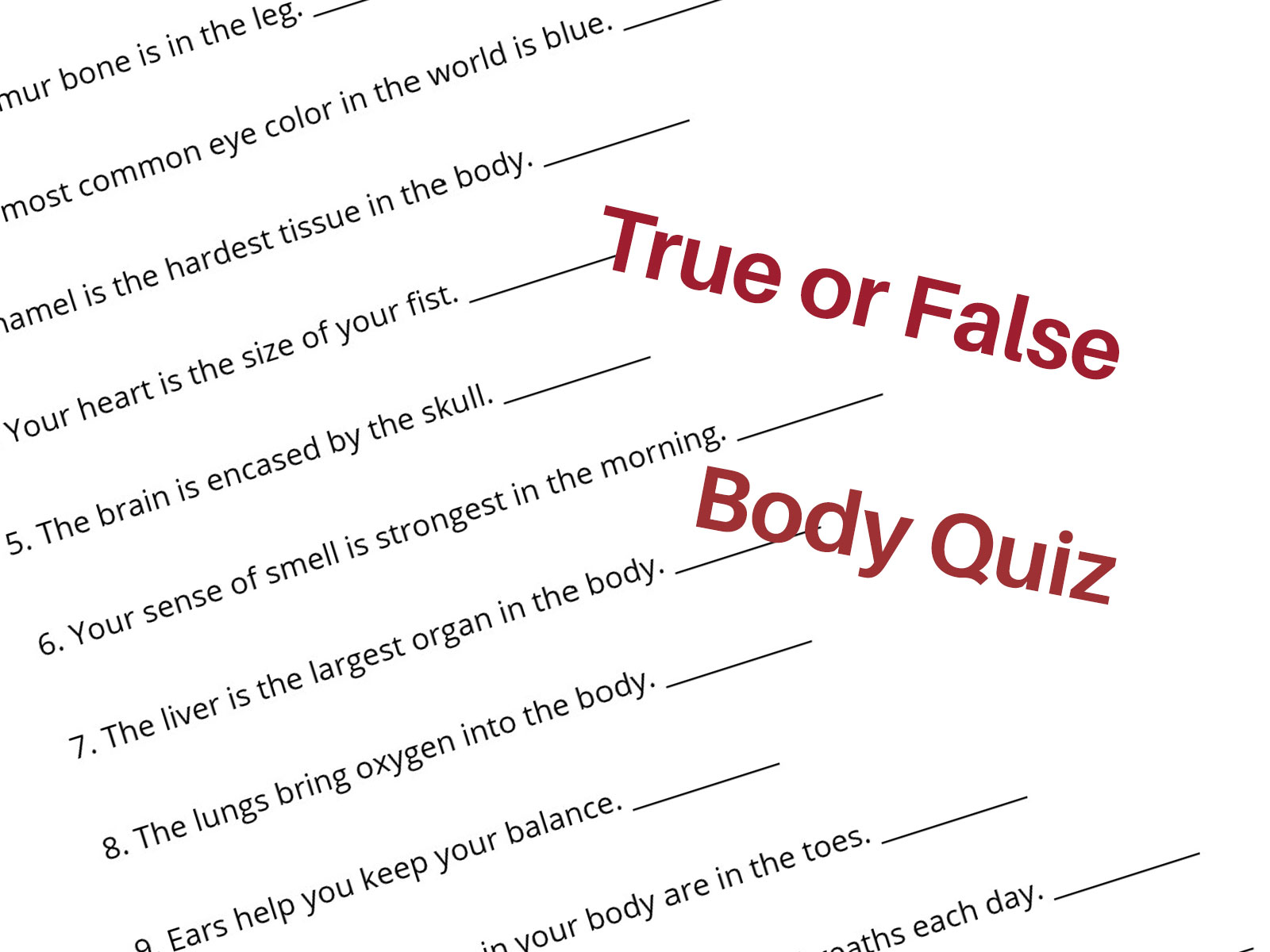 True or false worksheet body quiz - Marias Place