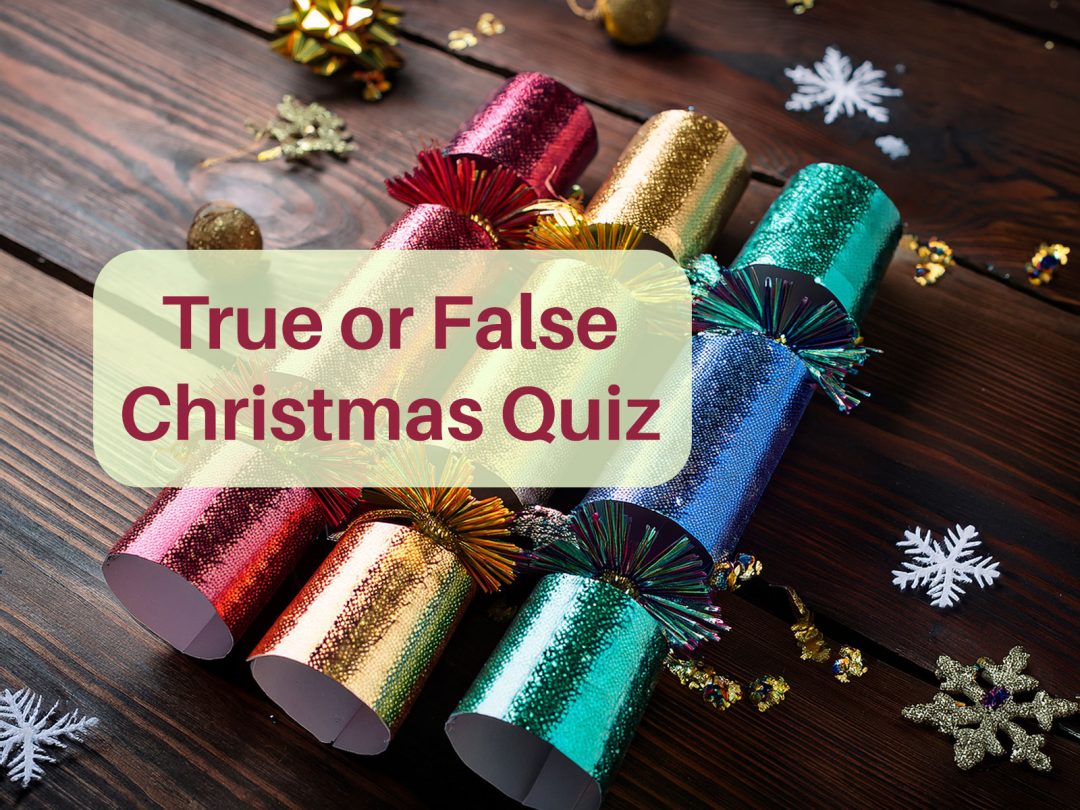 True or false Christmas Quiz - Marias Place