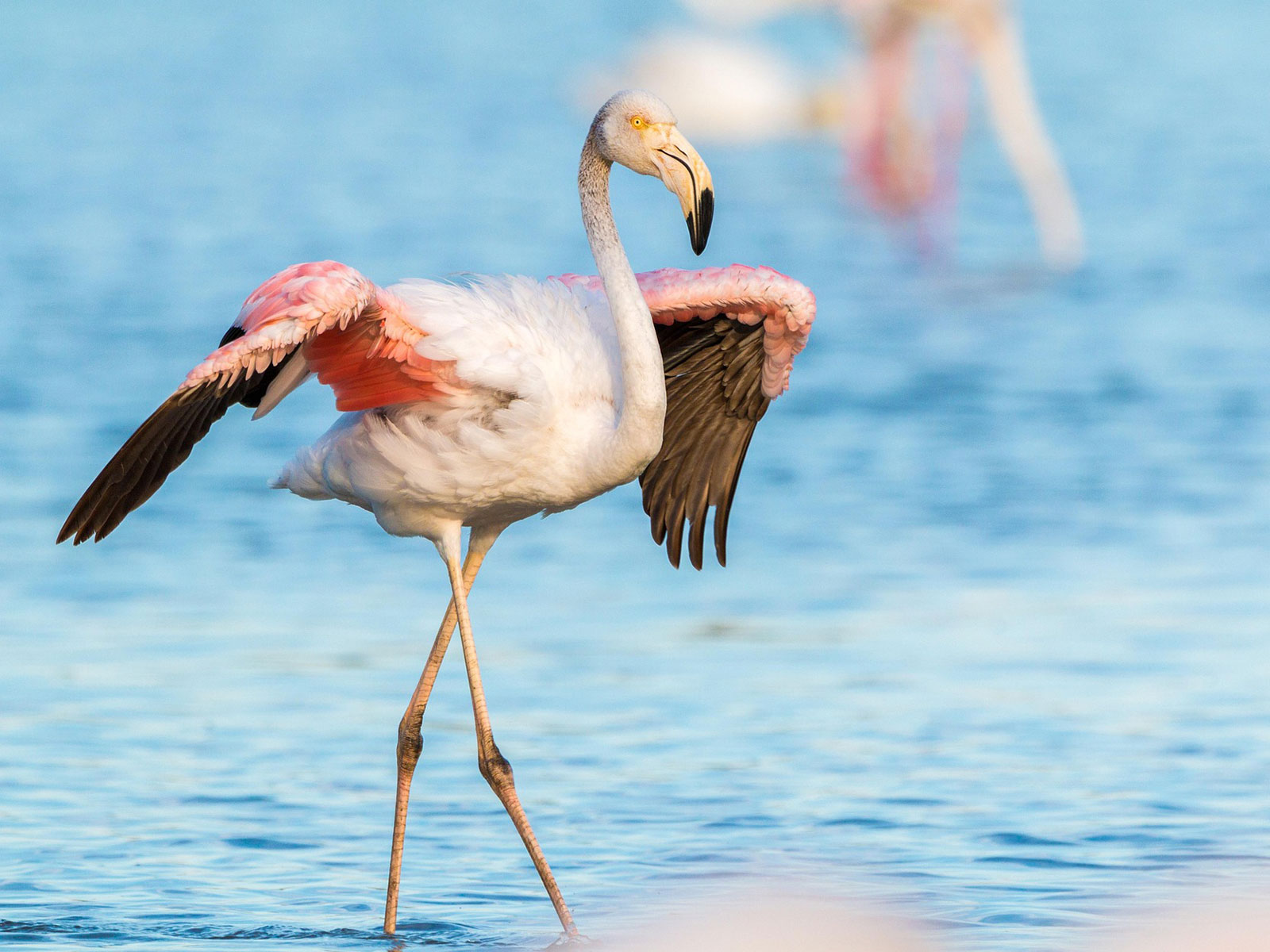 Word Square Activity, 25 - Marias Place